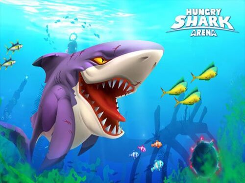 Play Hungry Shark Arena Unblocked [2026] – MAGBEI GAMES